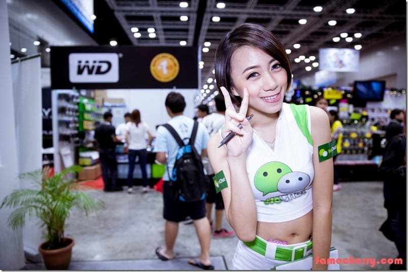 Expo & Fairs : Pikom PC Fair Dec 2012 ( YN-160 LED Video Light Version )