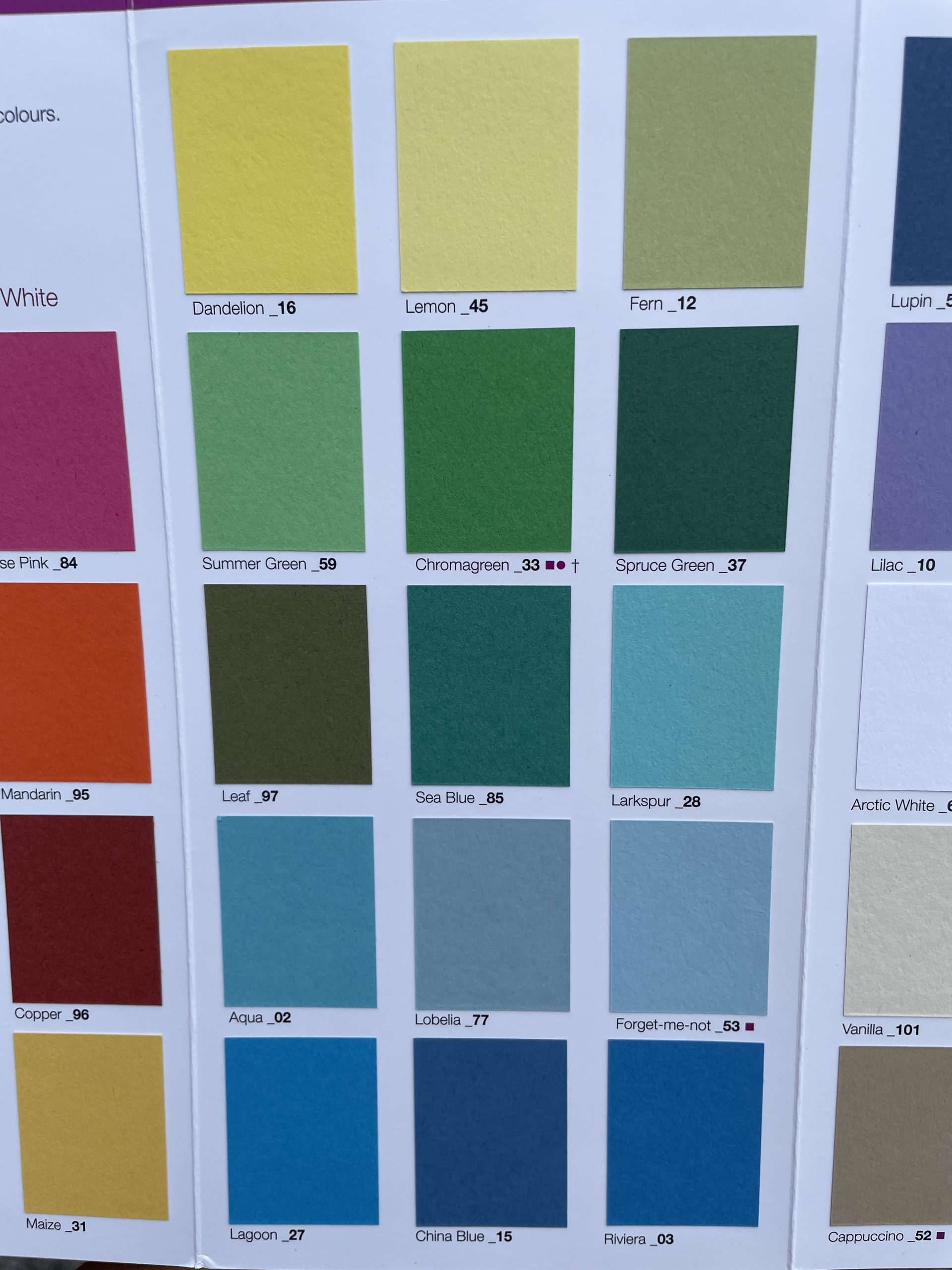 Colorama Paper Backdrops for Studio Backgrounds ( Malaysia )